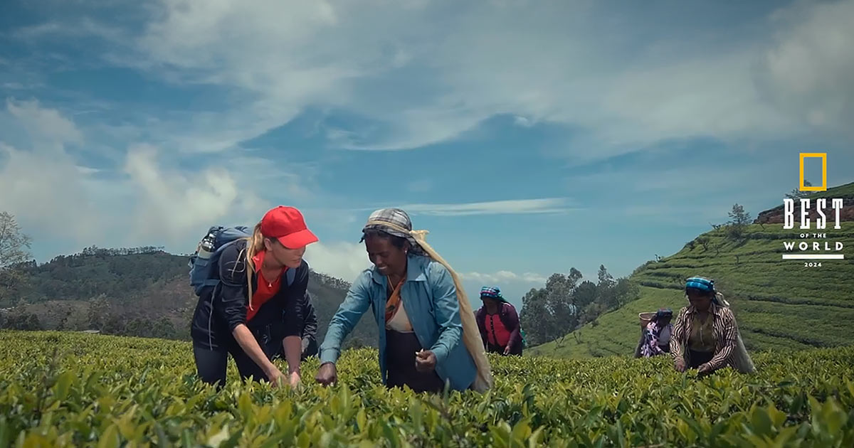 The Pekoe Trail Case Study | Antyra Solutions